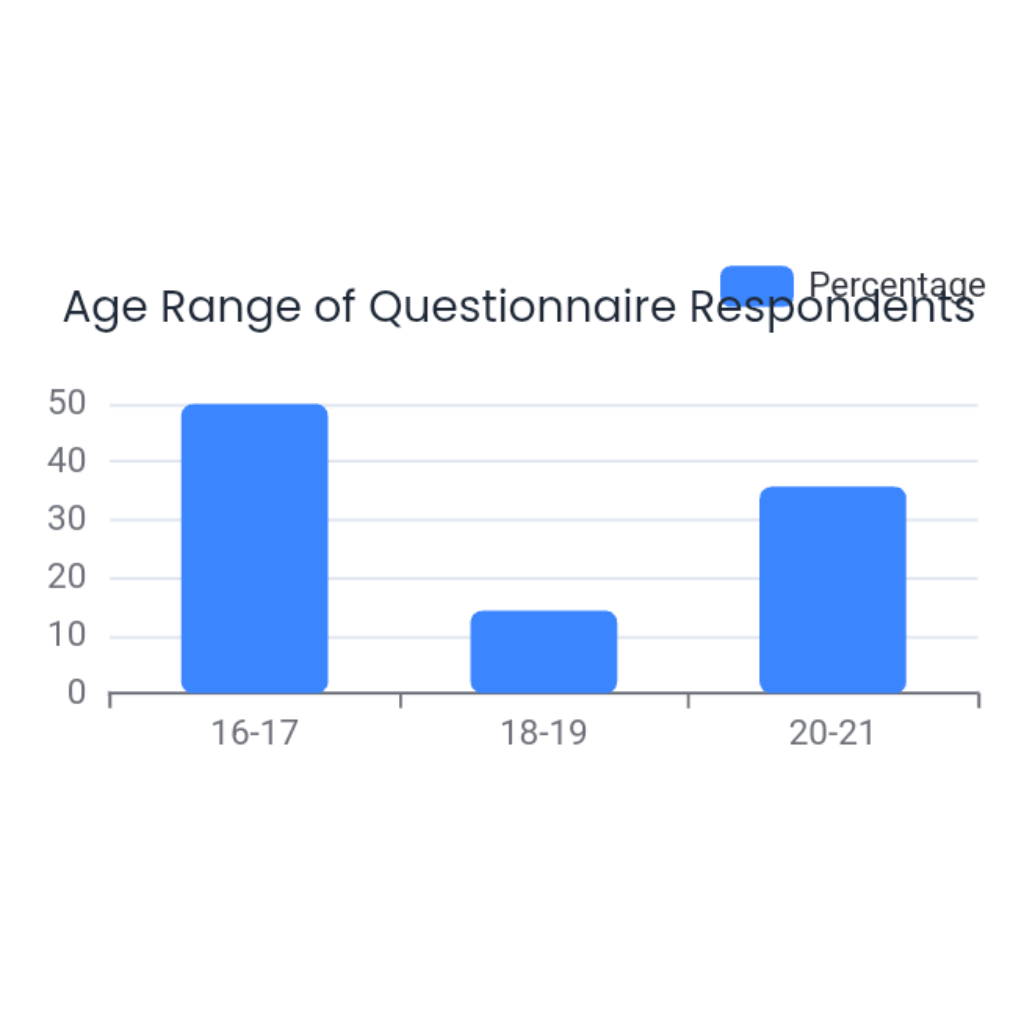Age Range of Questionnaire Respondents | AI Graph Maker